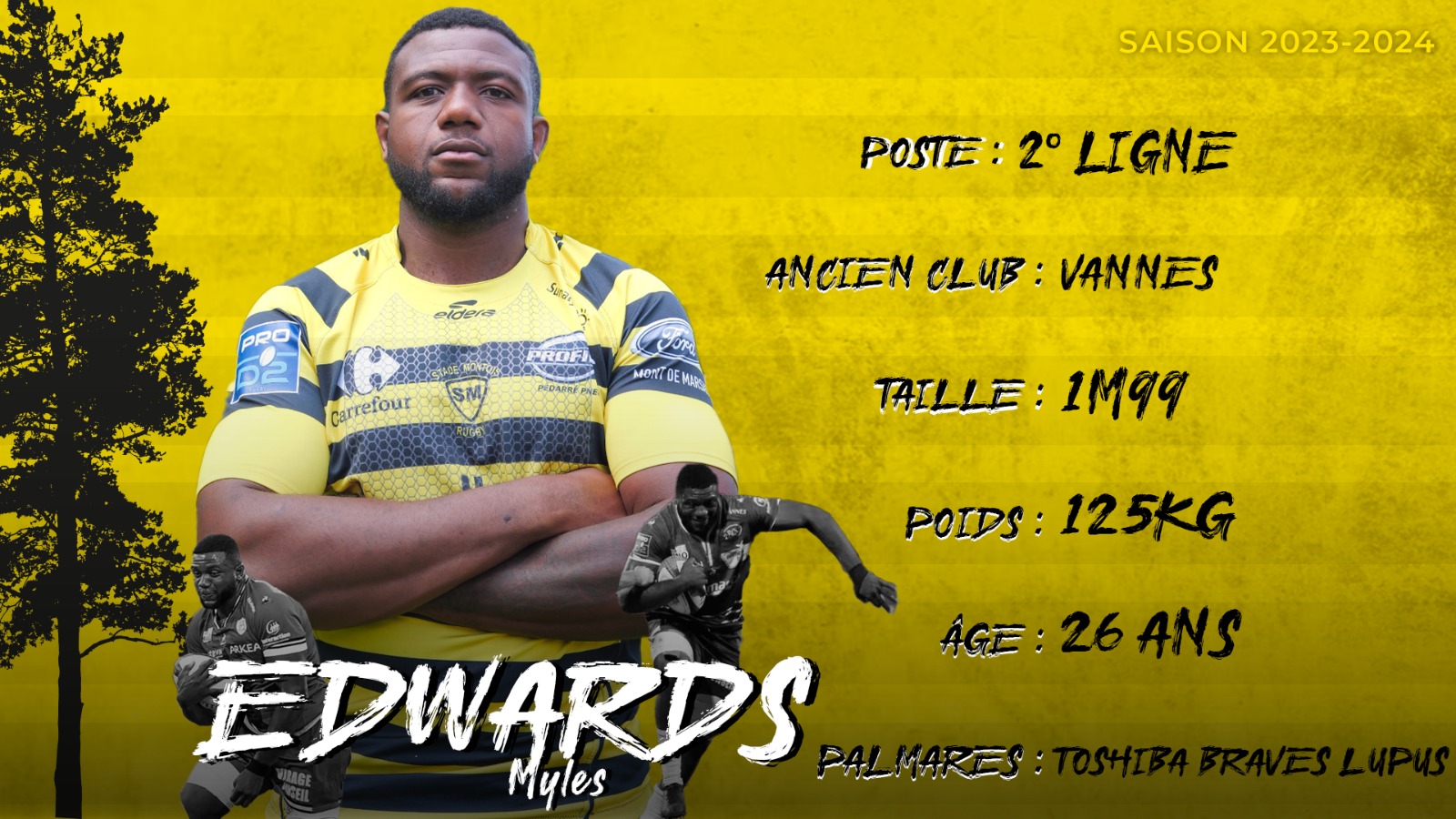 Myles EDWARDS intègre la famille Jaune et Noir - Stade Montois Rugby ...